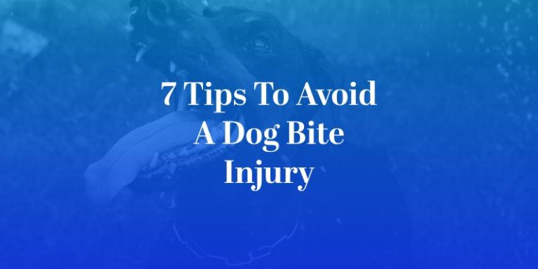 7 Tips to Avoid a Dog Bite Injury